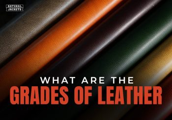 Complete Guide to Leather Grades Explained